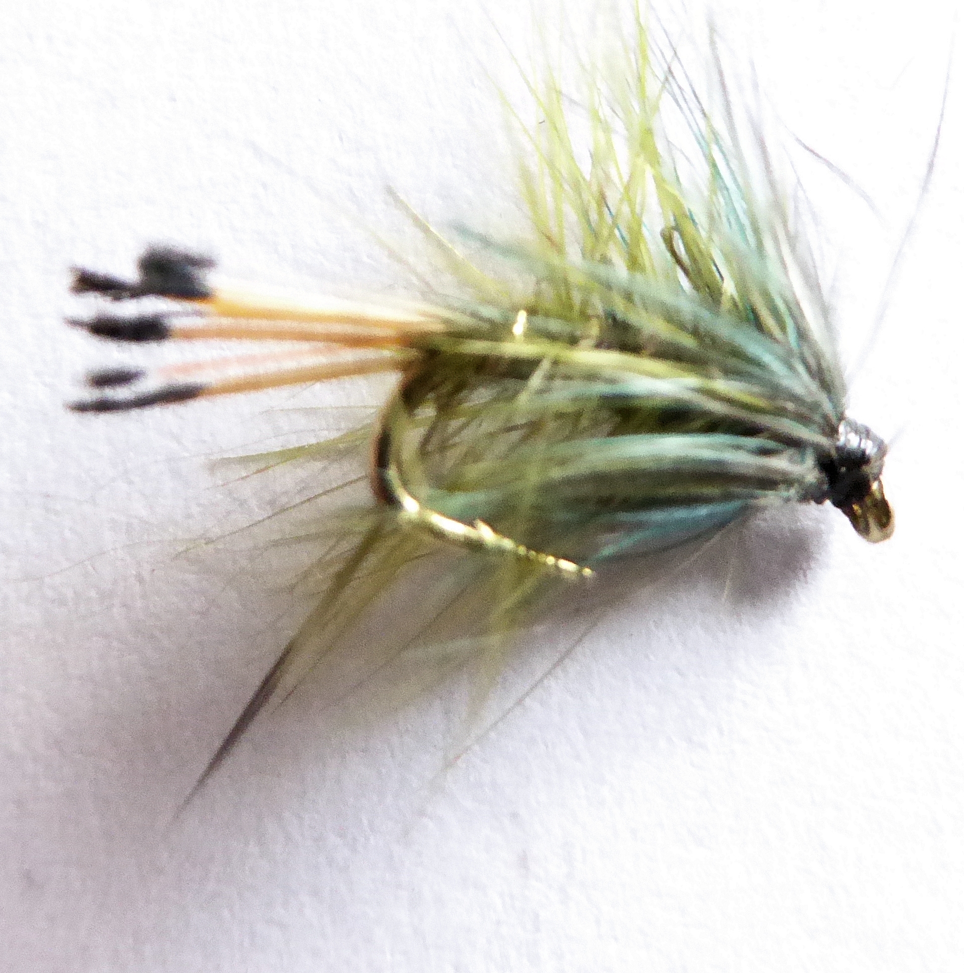 Nottingham Fly Fishers - Home Page